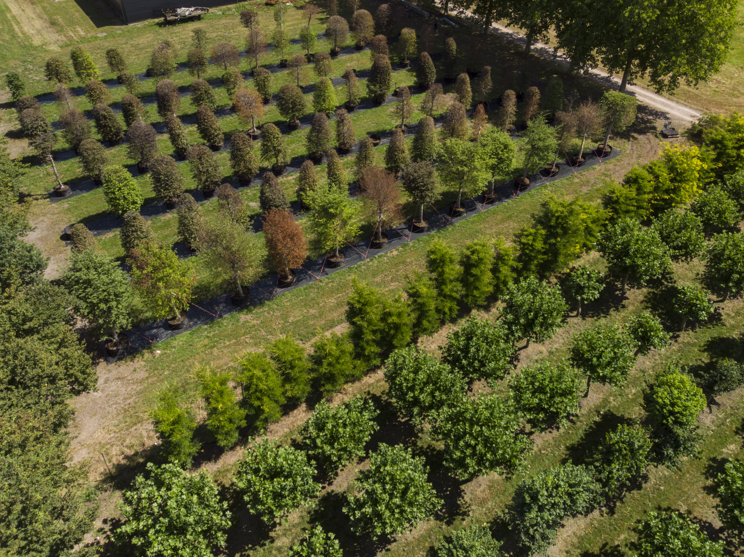 Merkelbach - Merkelbach